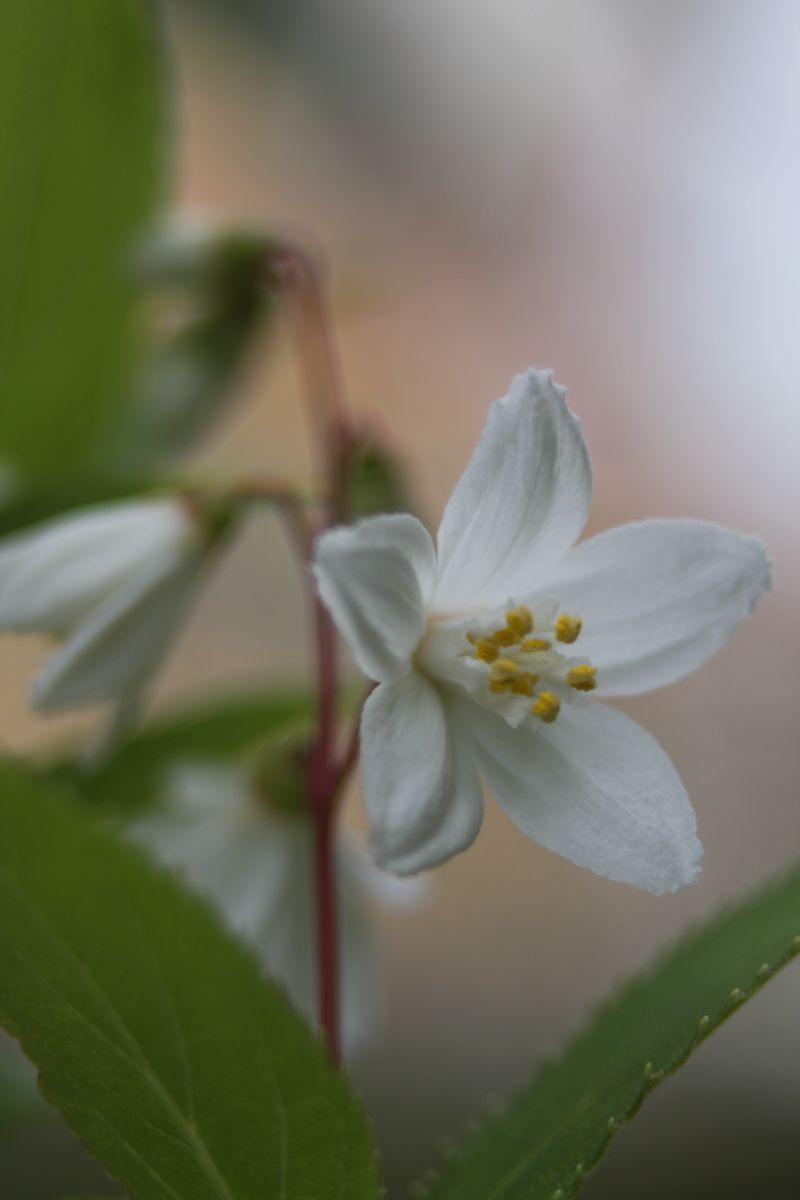 そぉ～っと… | GANREF