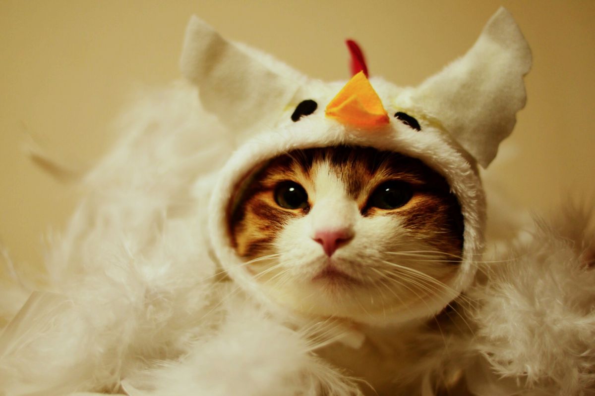 Happy New Year | GANREF