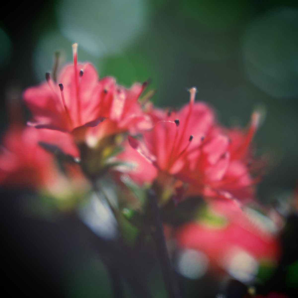 光と風.jpg | GANREF