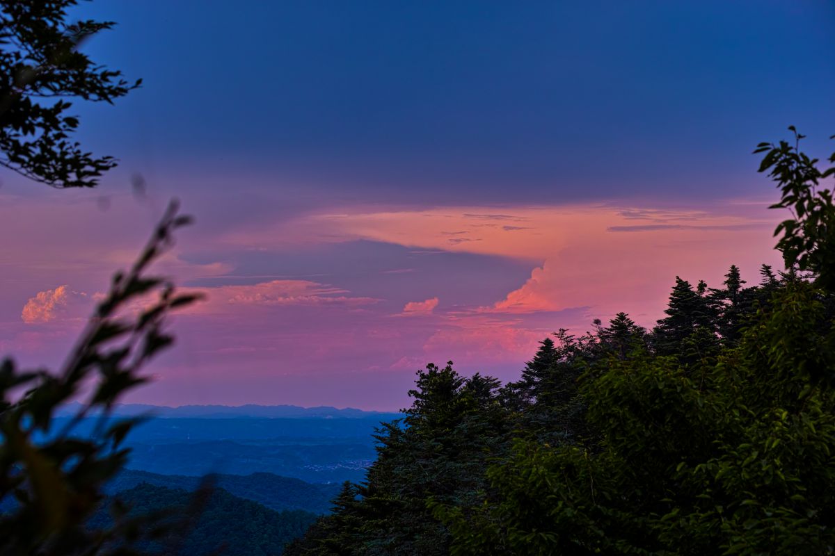 Dusk of early summer | GANREF