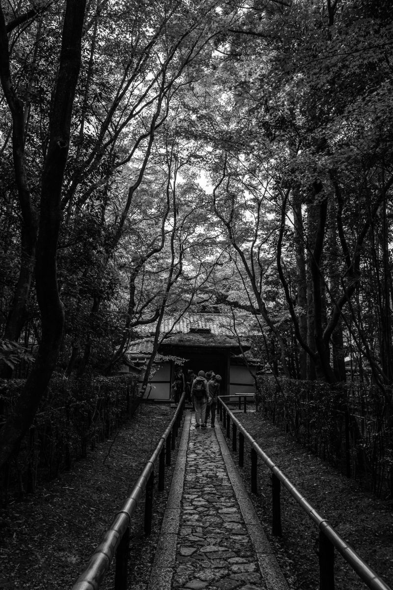 feel the japanese beauty | GANREF