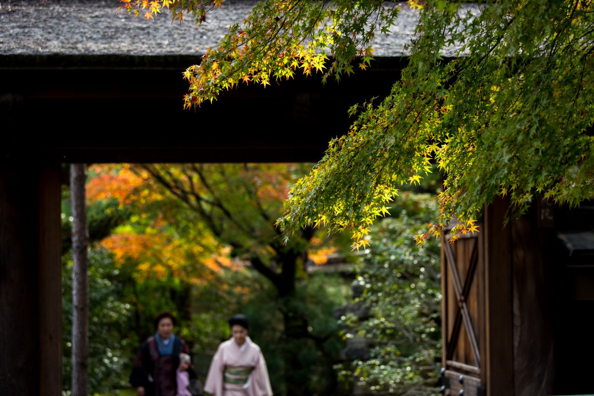 京都紅葉紀行 其ノ参 | GANREF