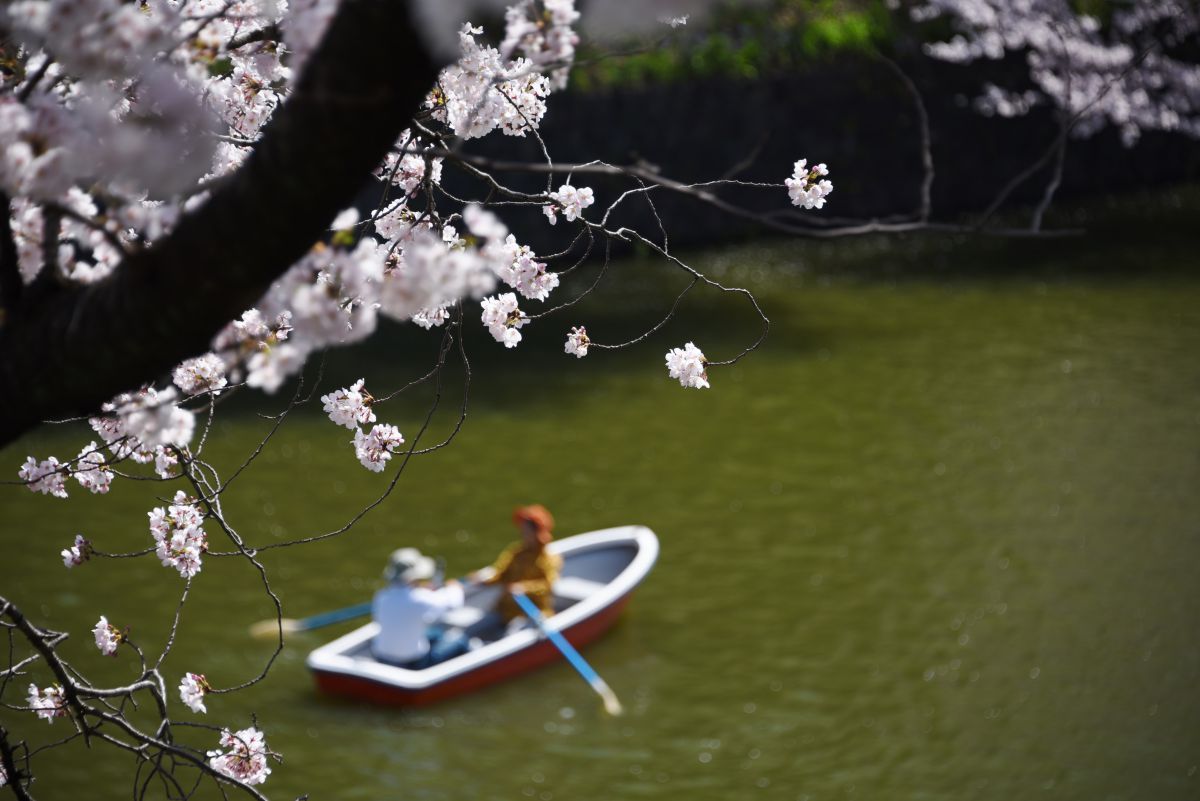 Long time ago | GANREF