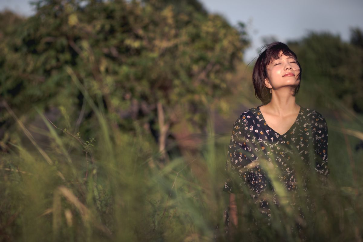 Direct Light | GANREF