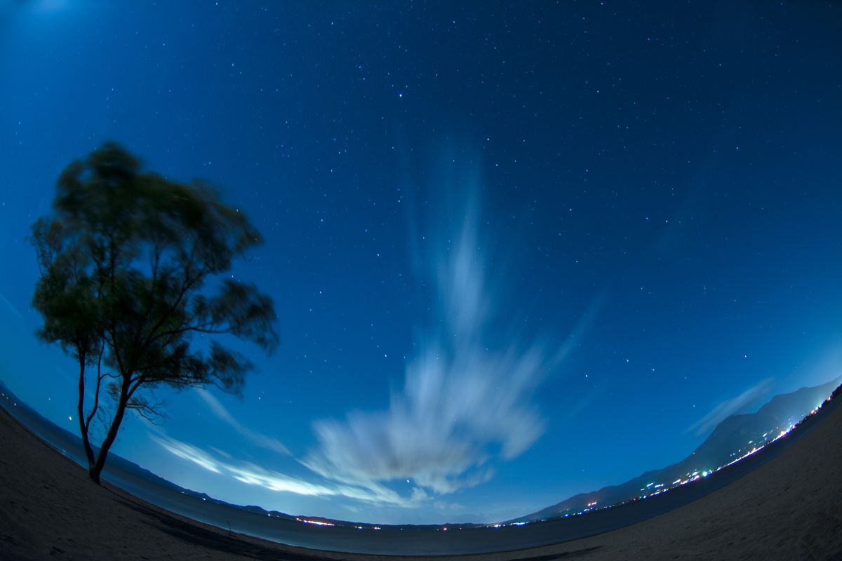 night on the planet | GANREF