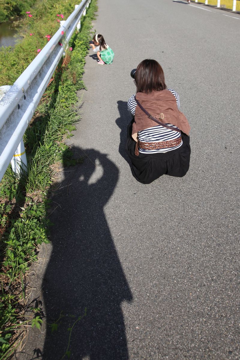 カメラマン×3 | GANREF