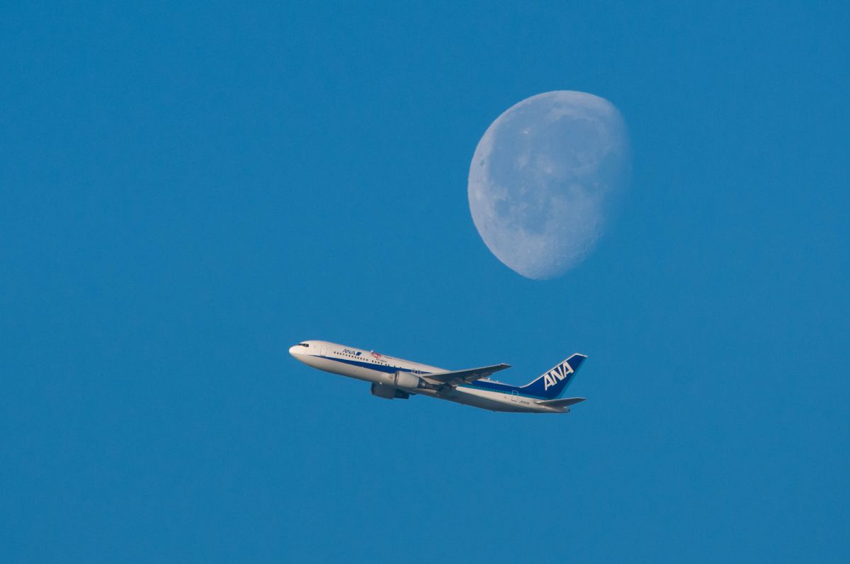 COSMO FLIGHT | GANREF