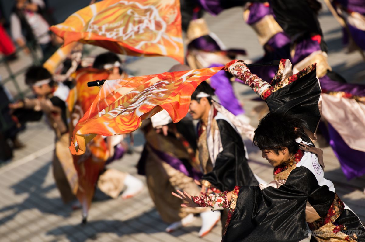 Raise your flag | GANREF