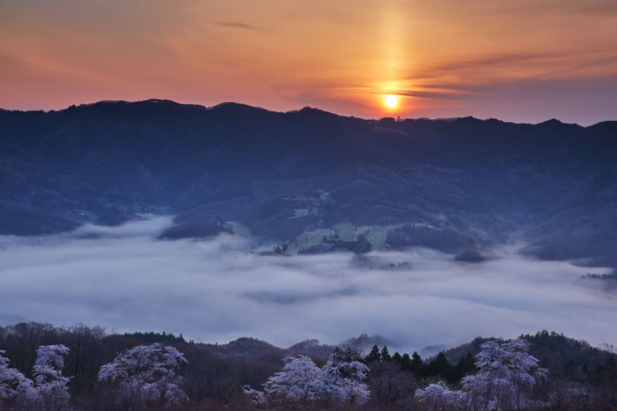 夜明けの情景 | GANREF