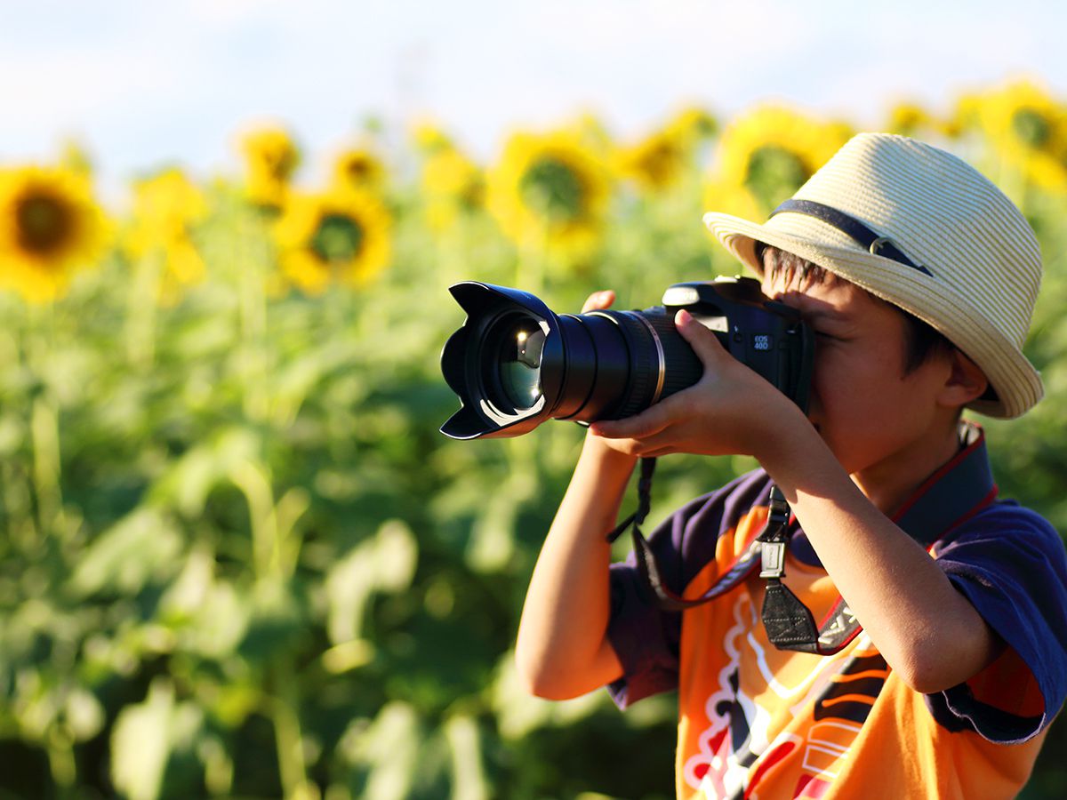 ちびっこhunter | GANREF