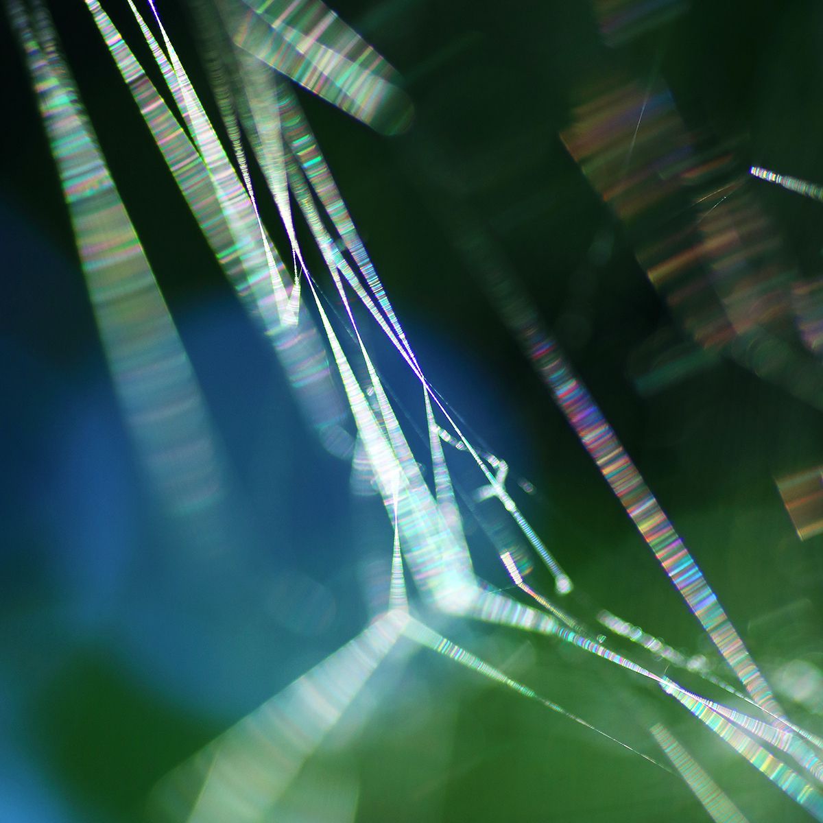 光のsymphony | GANREF