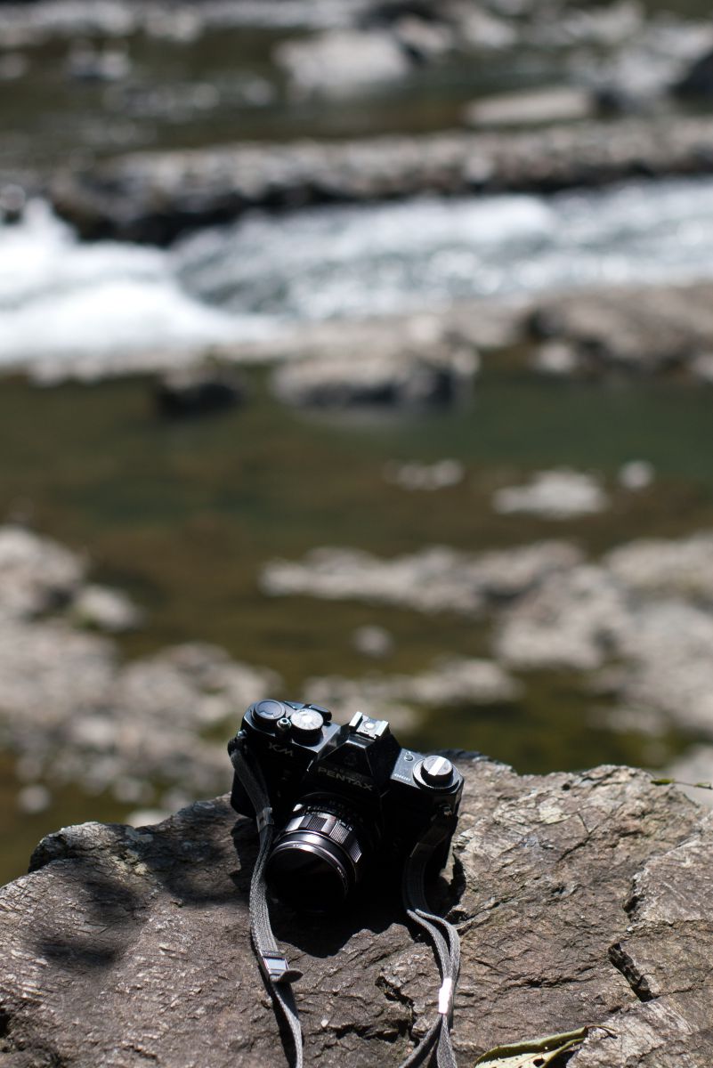 IF NOT VERY NEW | GANREF