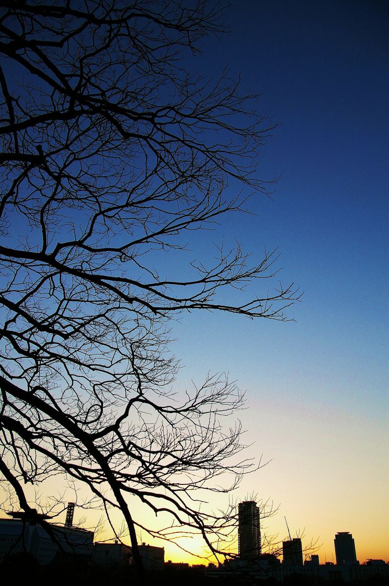 At Dusk.JPG | GANREF