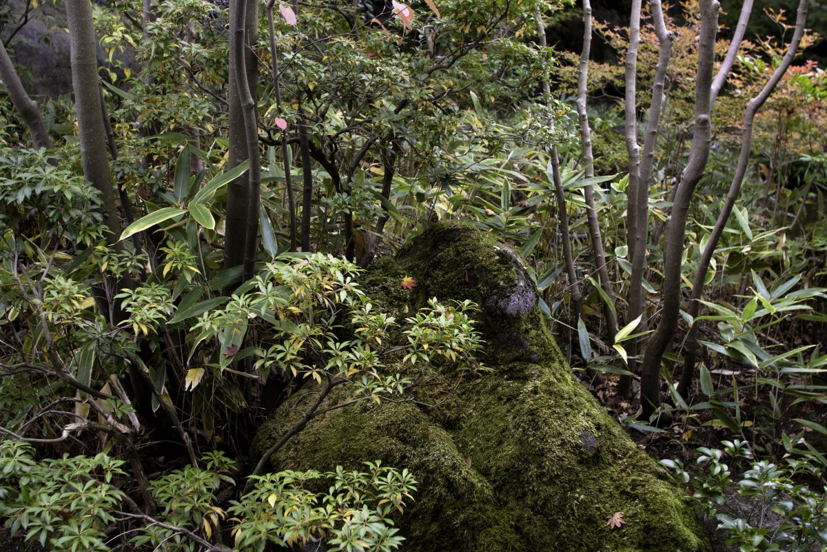 Come And Find Me | GANREF