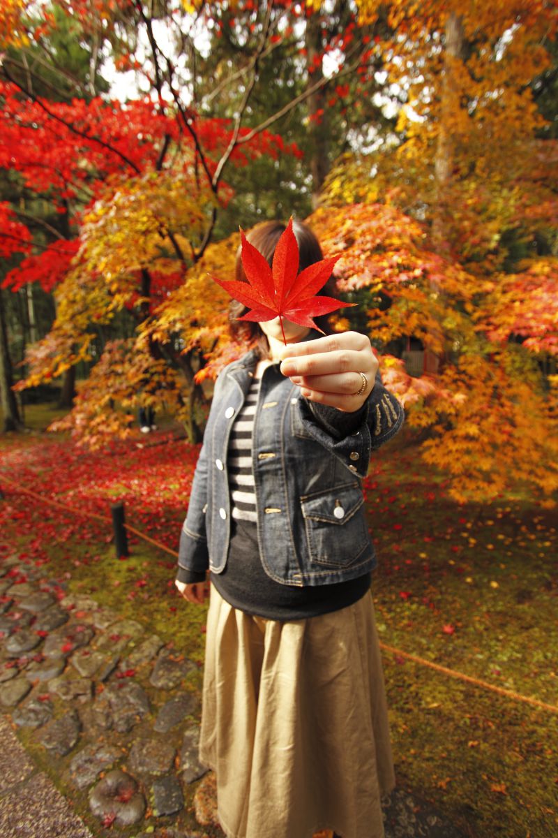 顔出しNG | GANREF