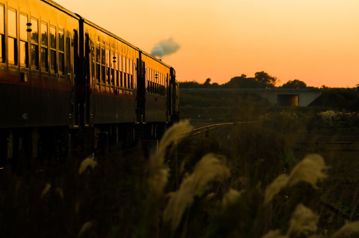 遠く遠く | GANREF