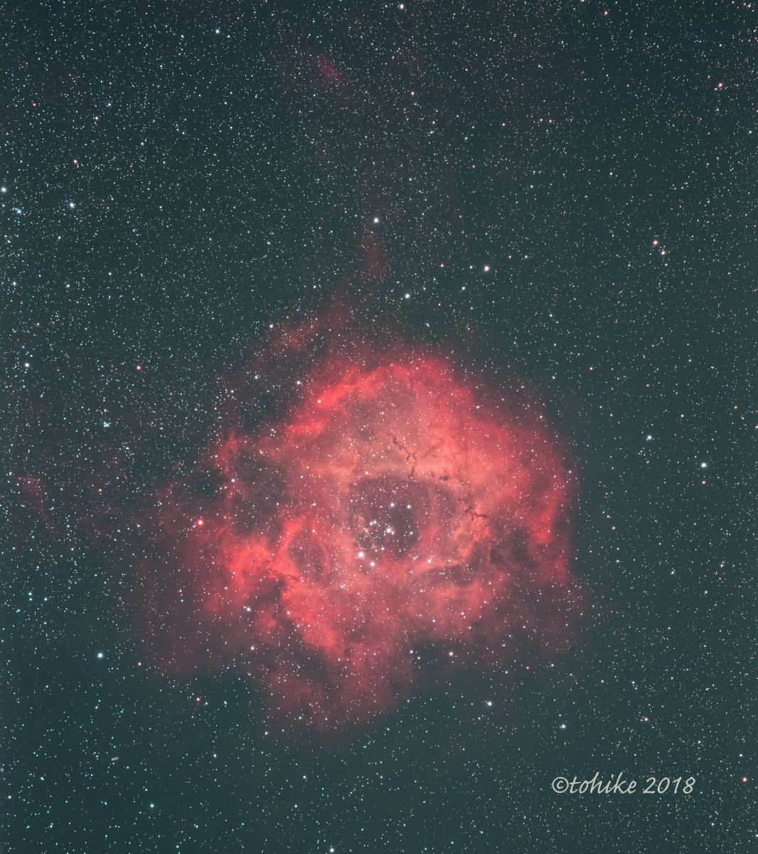 Rosette Nebula～NGC2237 | GANREF