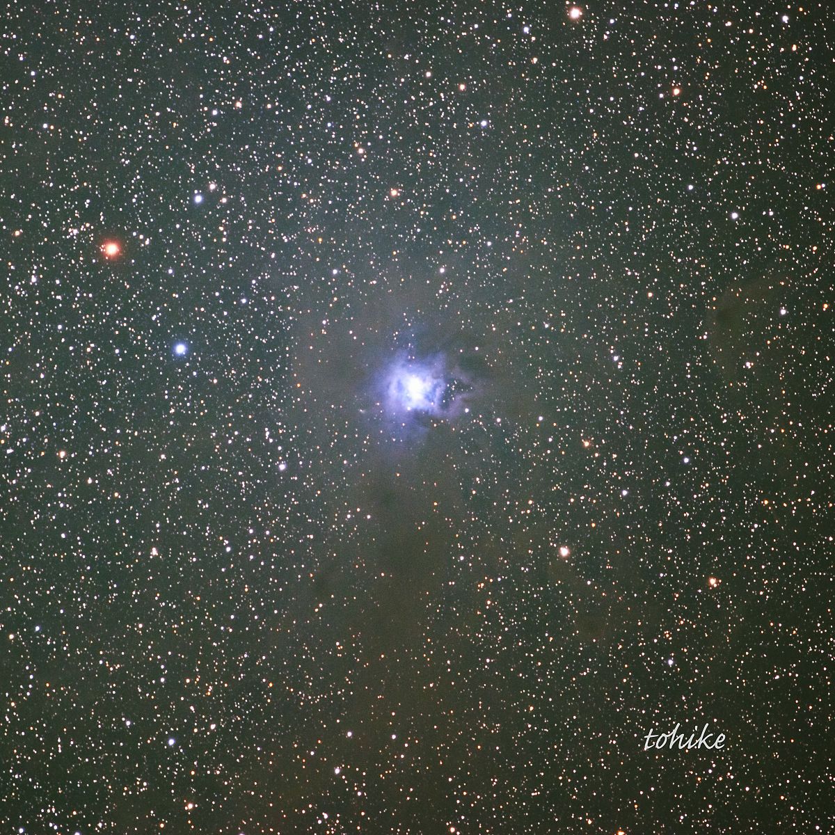 Iris Nebula～NGC7023 | GANREF