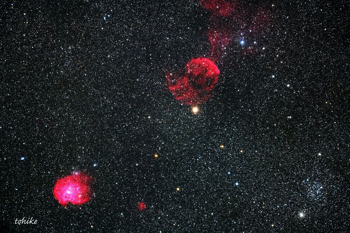 Jerry Fish Nebula～IC443 | GANREF