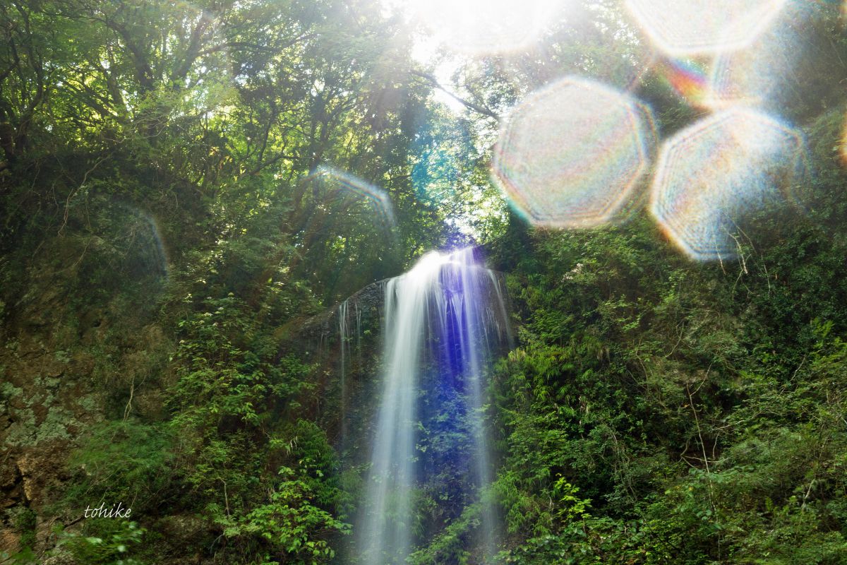 Summer Veil 2016 | GANREF