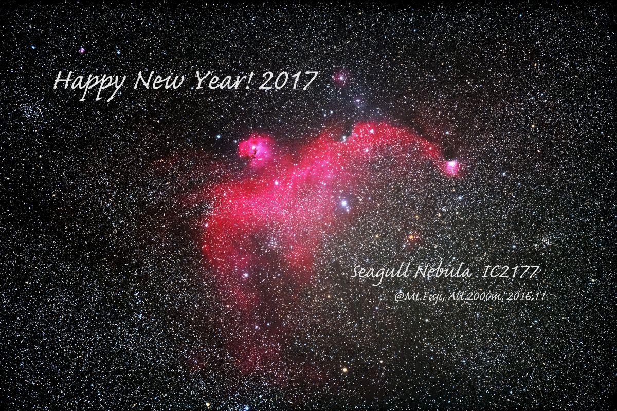 Happy New Year! 2017～Seagull Nebula | GANREF