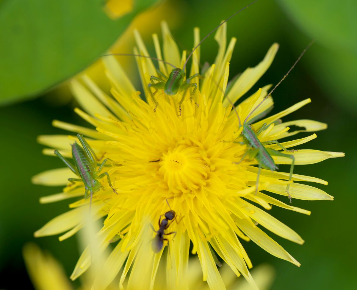 ギョッ！！ | GANREF