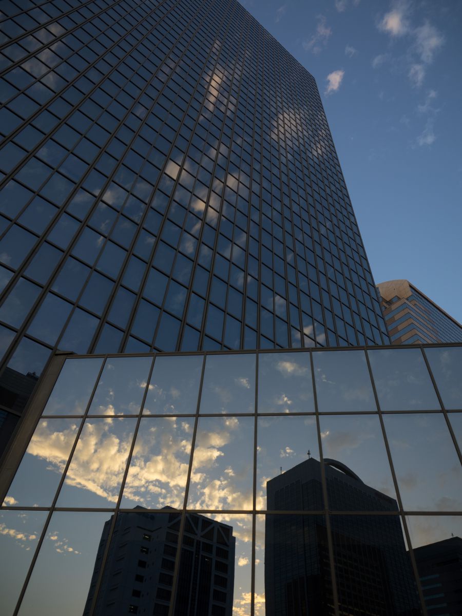 reflection 2 | GANREF