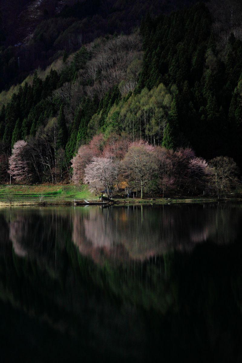 月光・十六夜 | GANREF