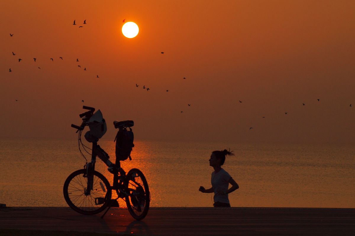 夕日RUNNER | GANREF