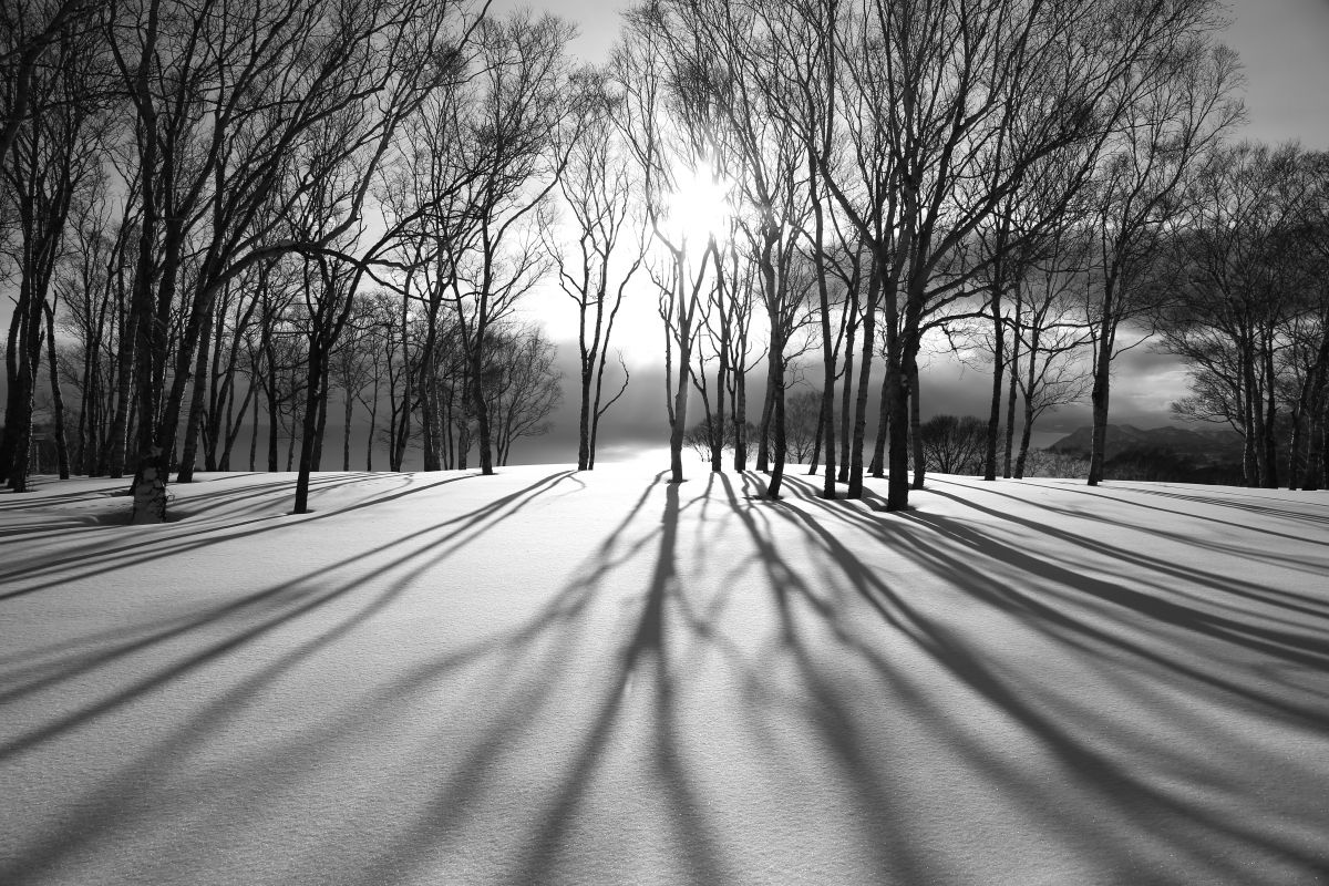 Shadow lines ** | GANREF