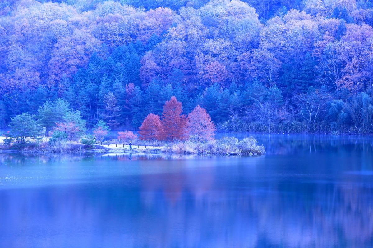 Autumn in Blue | GANREF