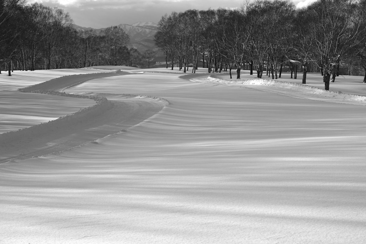 Shadow Lines | GANREF