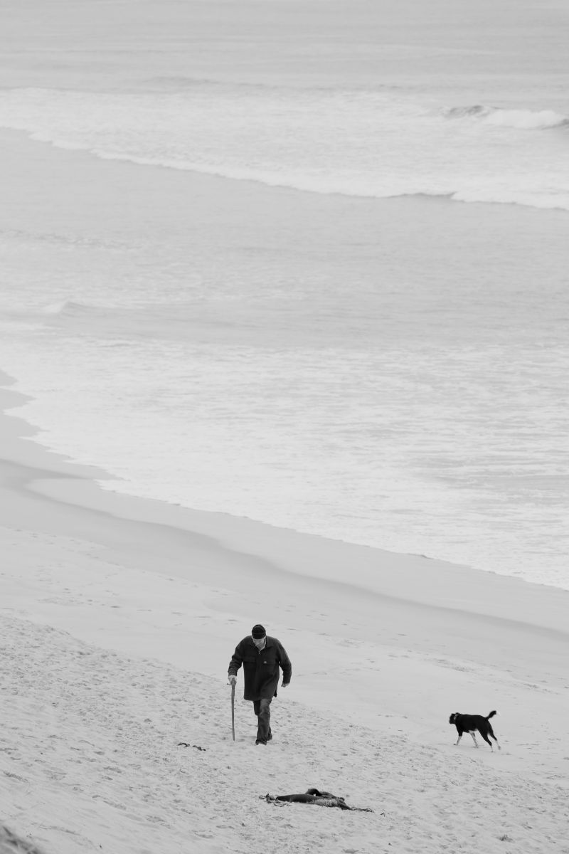 The Old Man and the Sea | GANREF