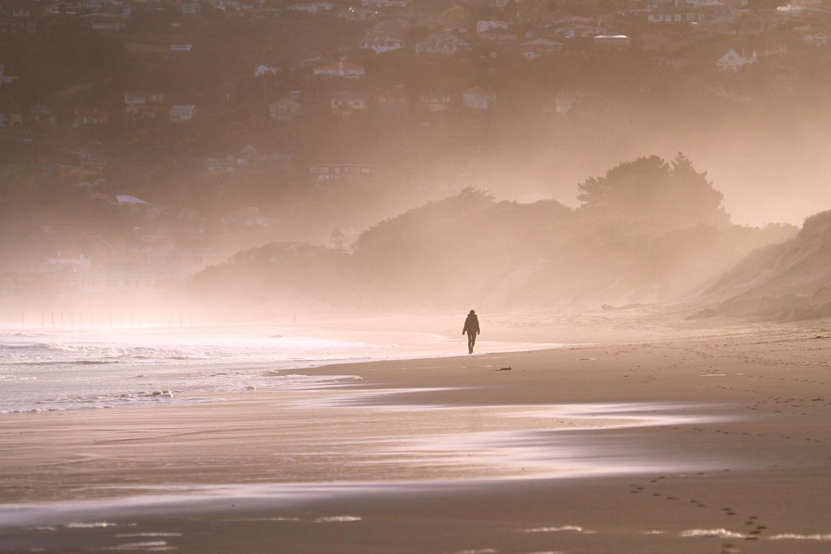 The Sound Of Waves | GANREF