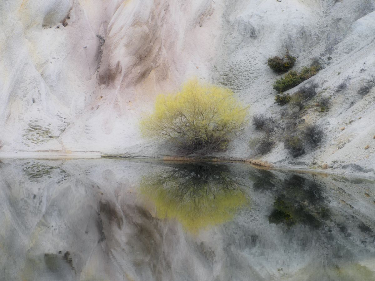 Lost World * | GANREF