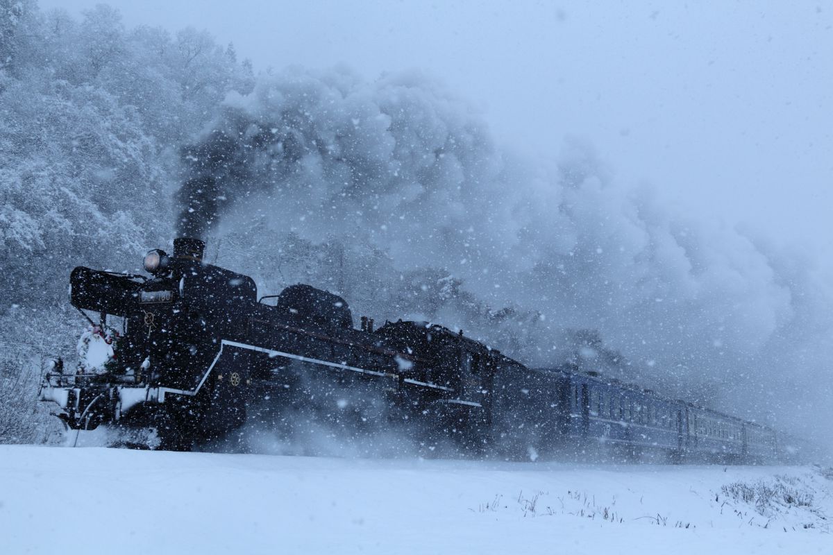 SNOW EXPRESS !! | GANREF