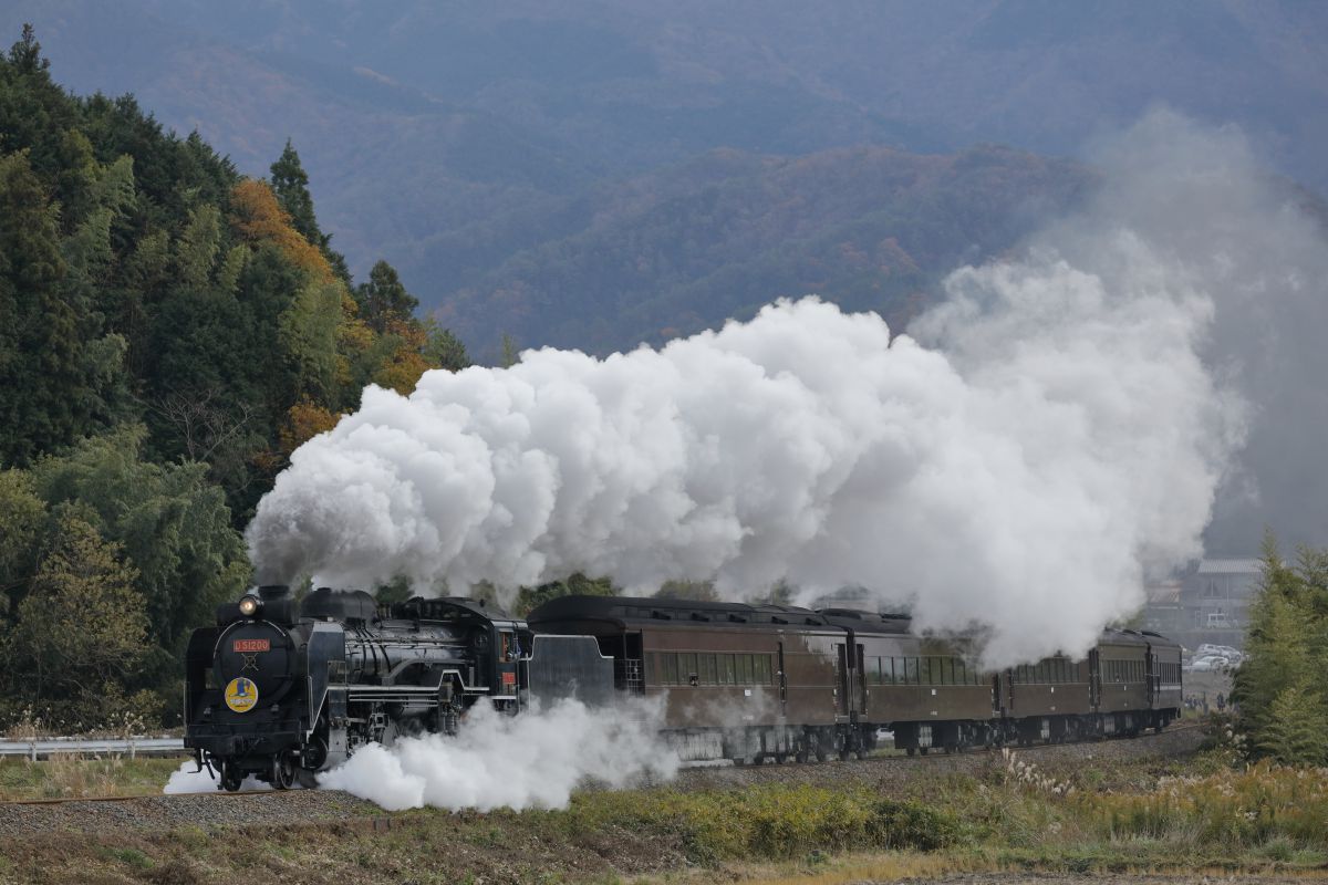 復活！！D51 | GANREF