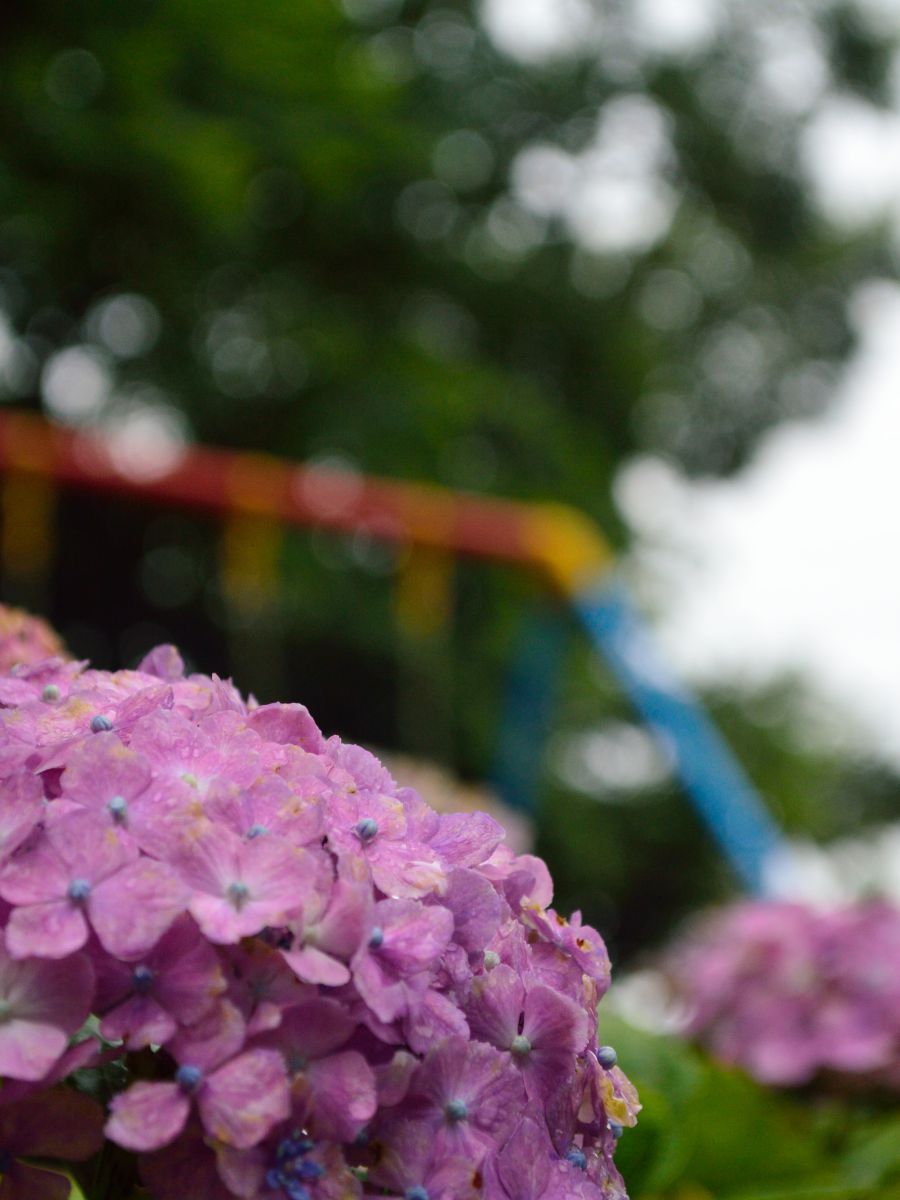 Lonely swing | GANREF