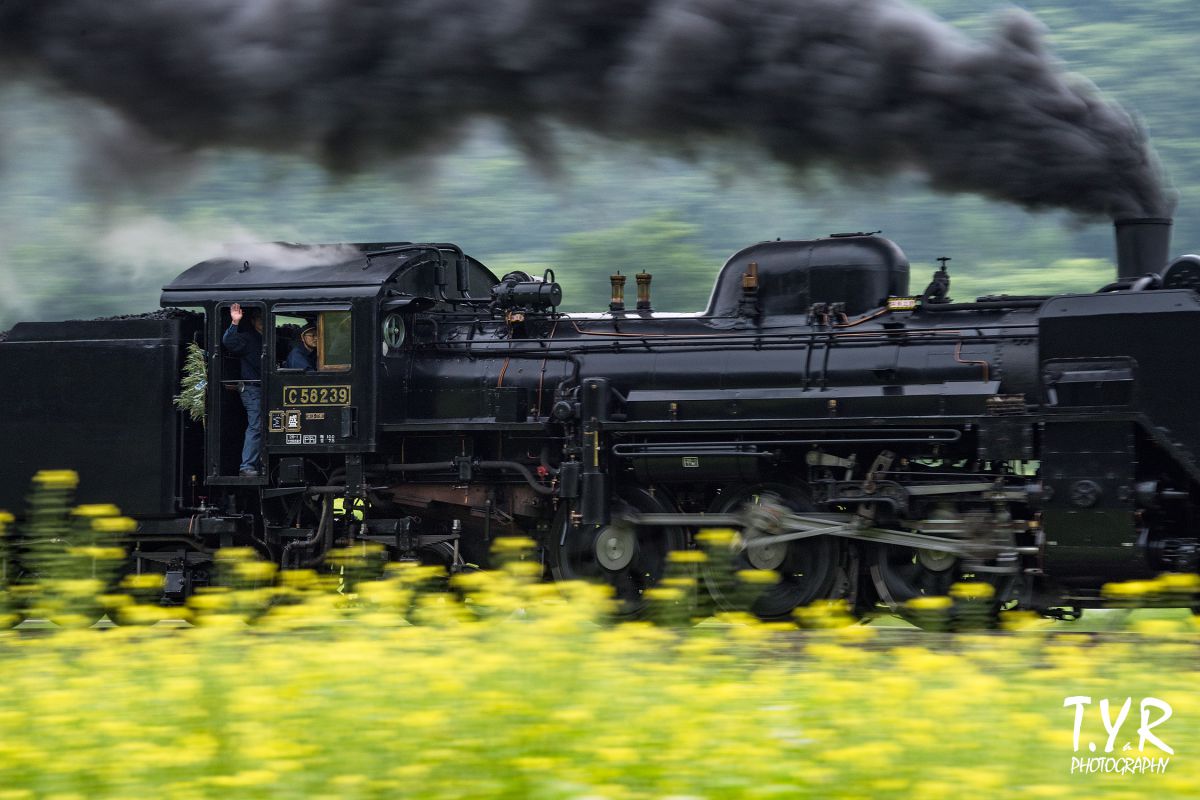 shigohachi side view | GANREF