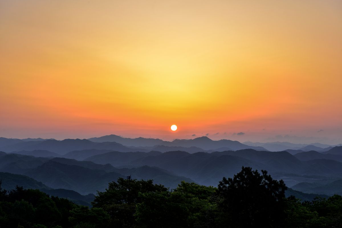 Good morning | GANREF