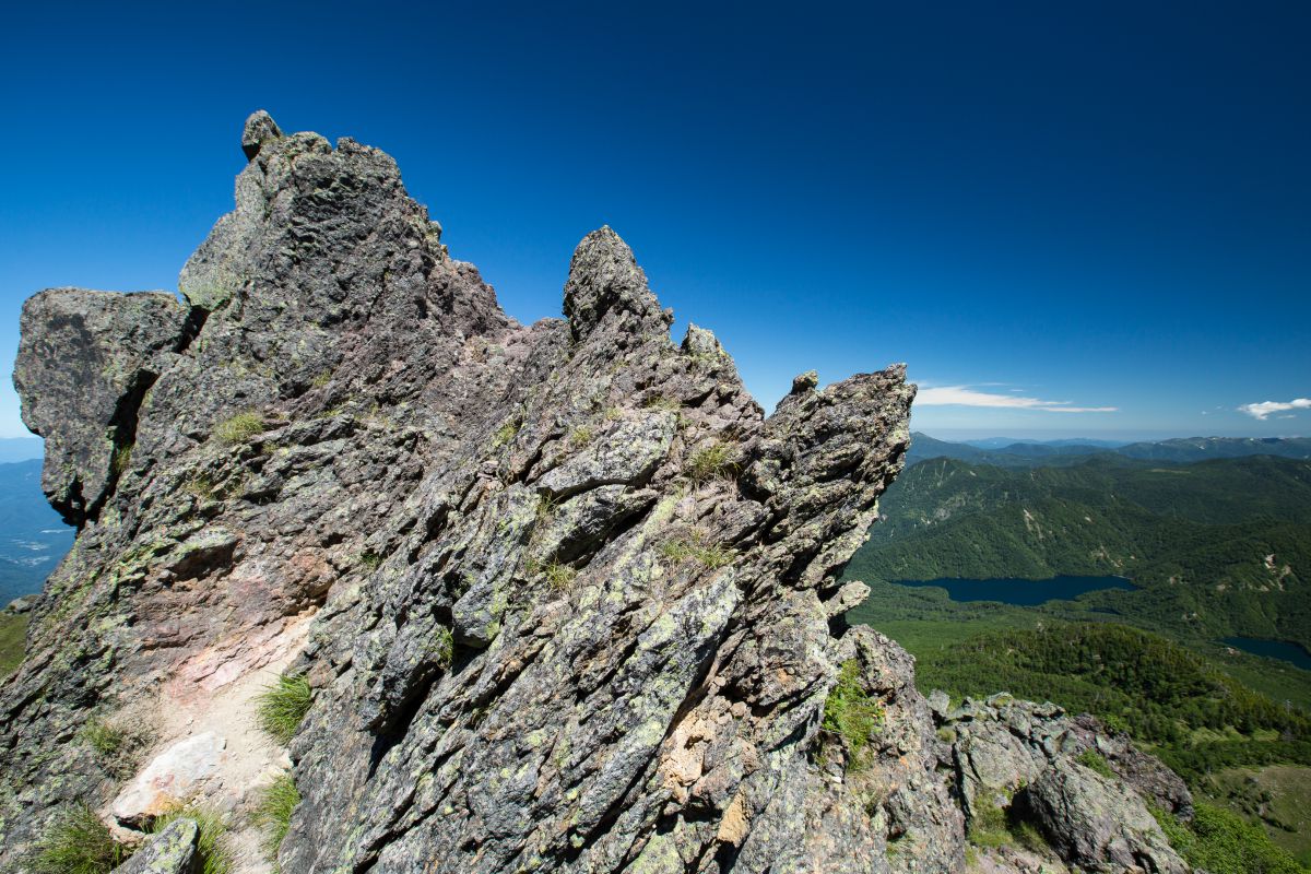 Rock'n SHIRANE | GANREF