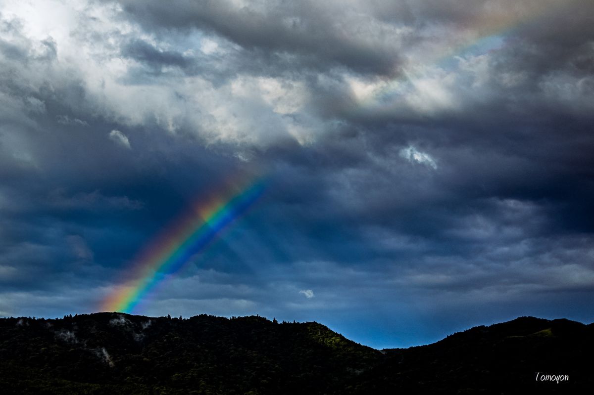 After the Rain | GANREF