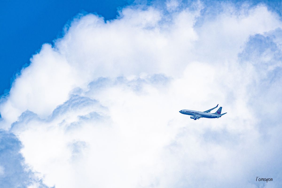 which is main cast? | GANREF