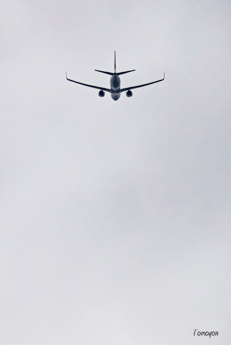 Solid colour | GANREF