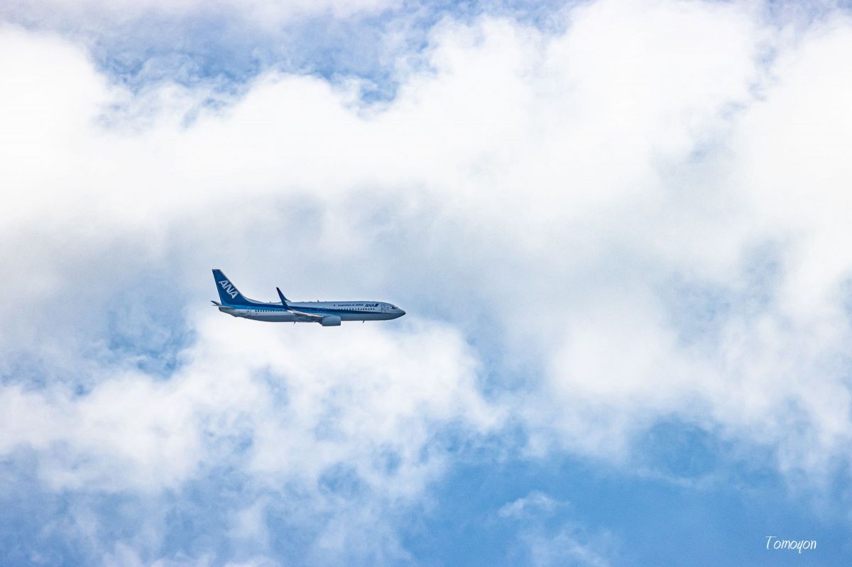 Level flight | GANREF