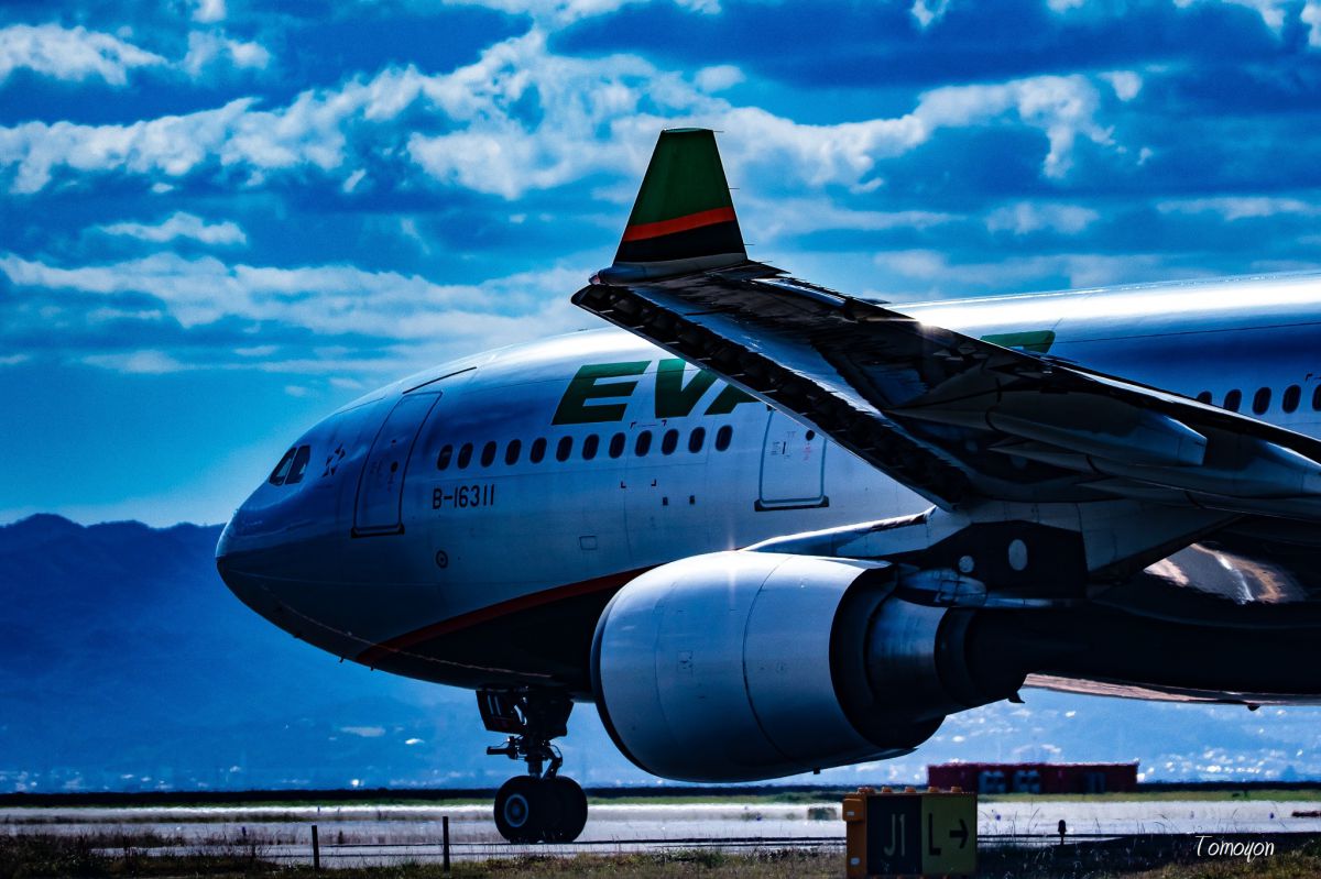 Metalic Wing | GANREF