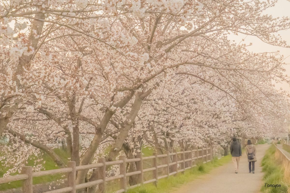 be alone together | GANREF