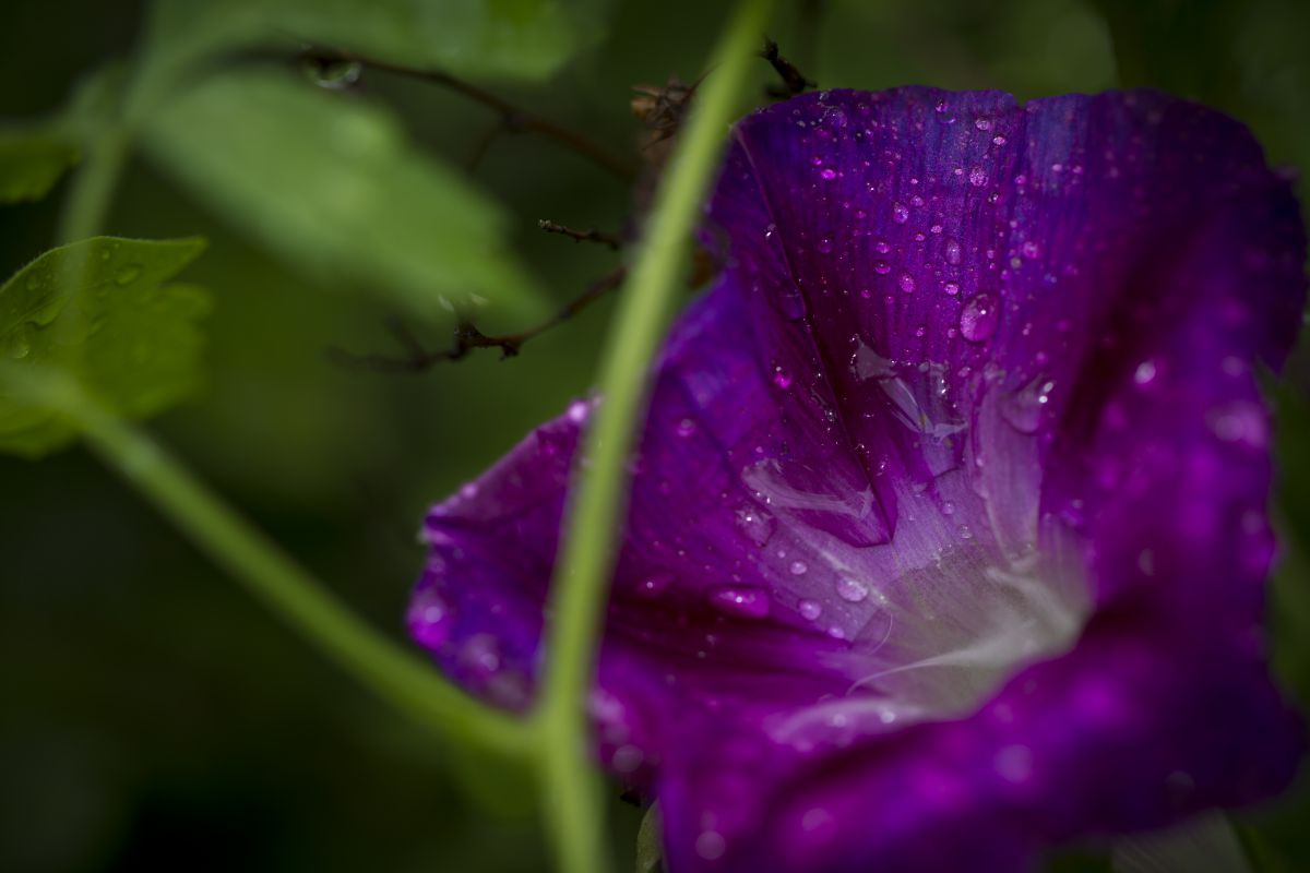 Hold me tight... | GANREF