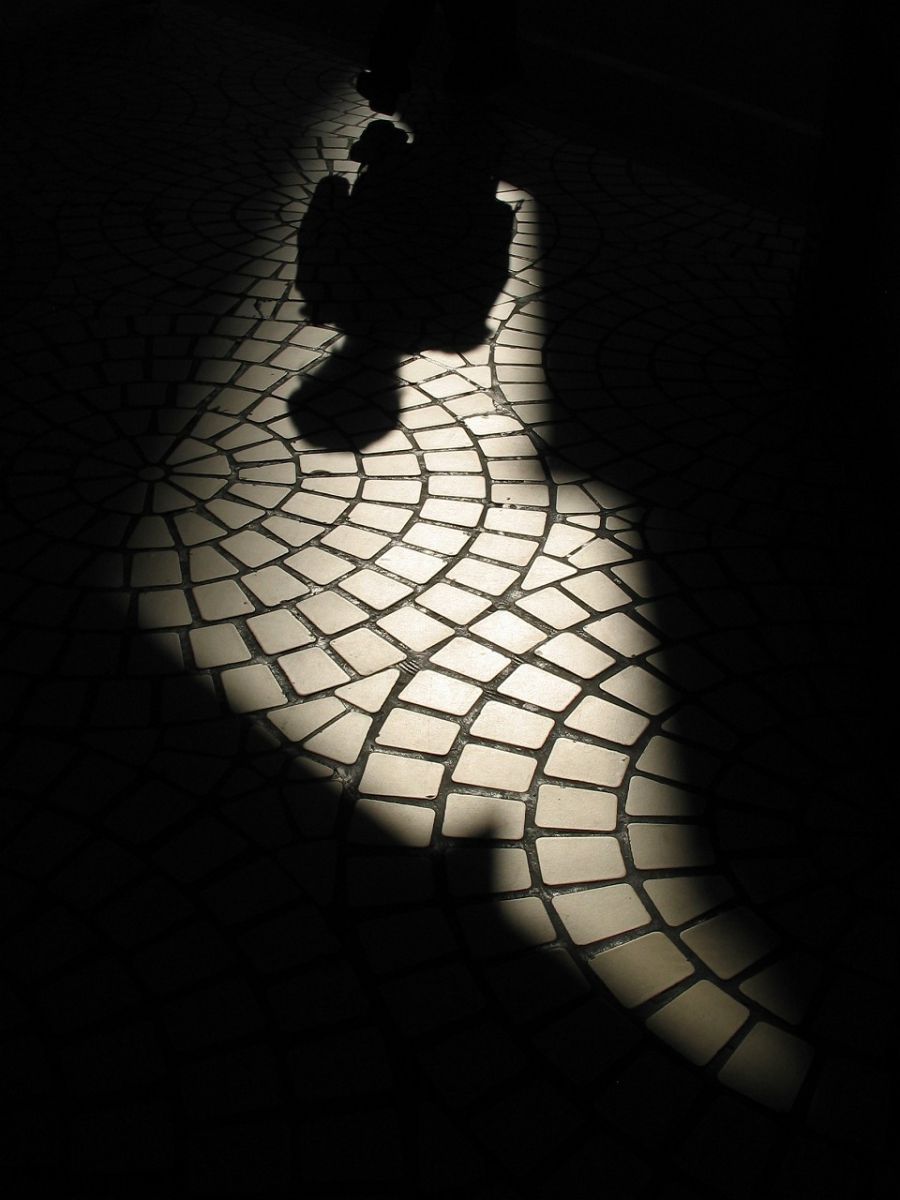 Silent Shadow | GANREF