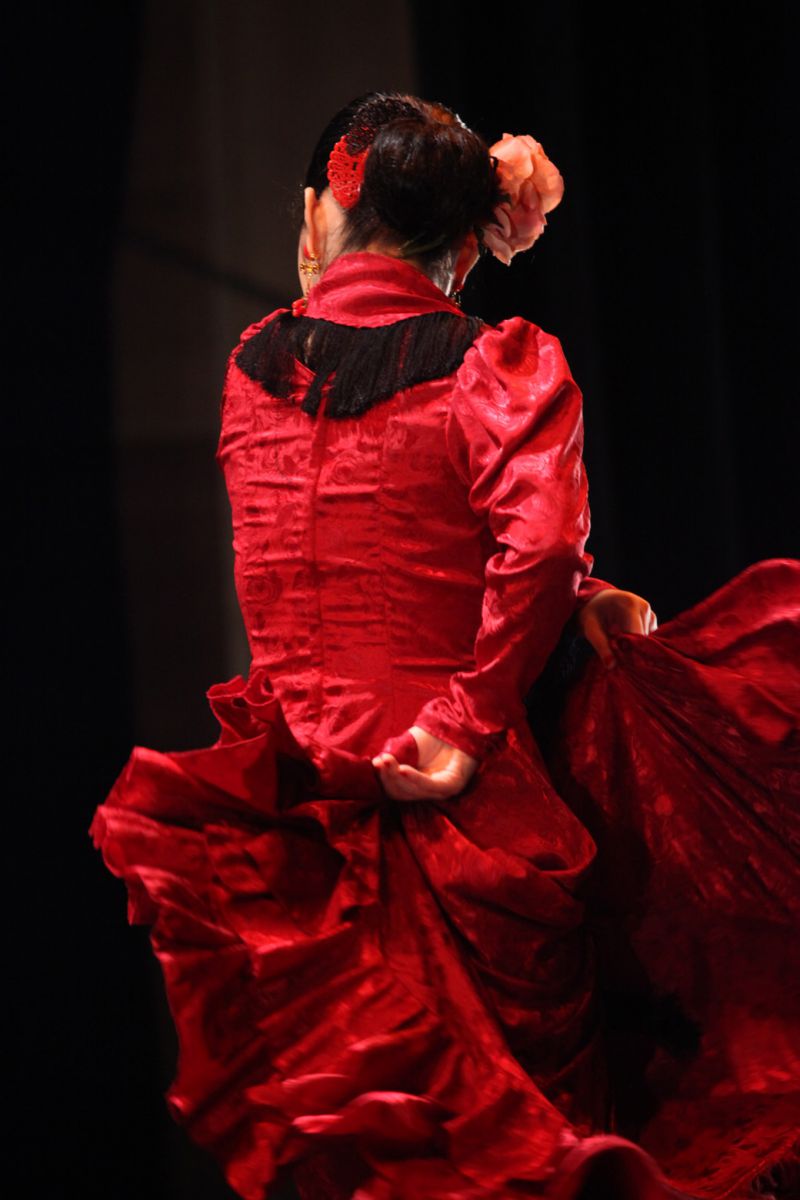 フラメンコ6 | GANREF